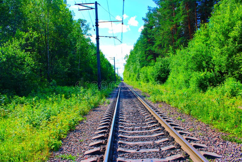 Railway Tracks through the Forest and Approaching Train Stock Image ...