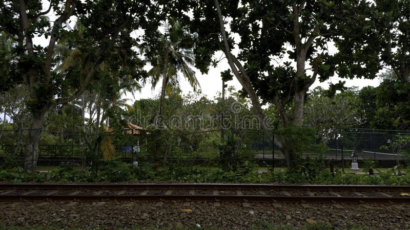Railway Tracks in Forest, Side View. Action. Countryside Landscape and ...
