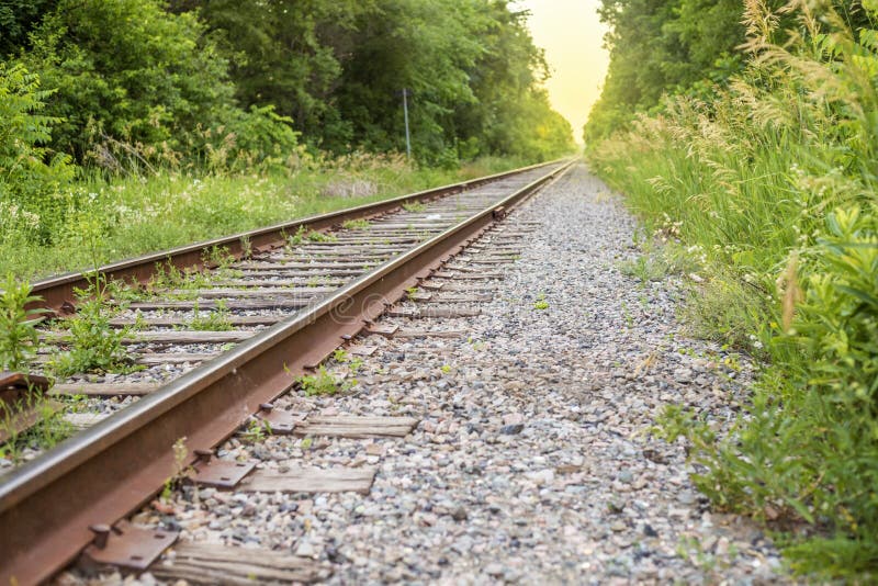 Railway Tracks in the Forest with Sunset in the Background Stock Photo ...