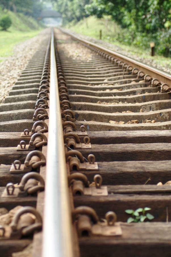 Railway tracks perspective stock image. Image of perspective - 1469755