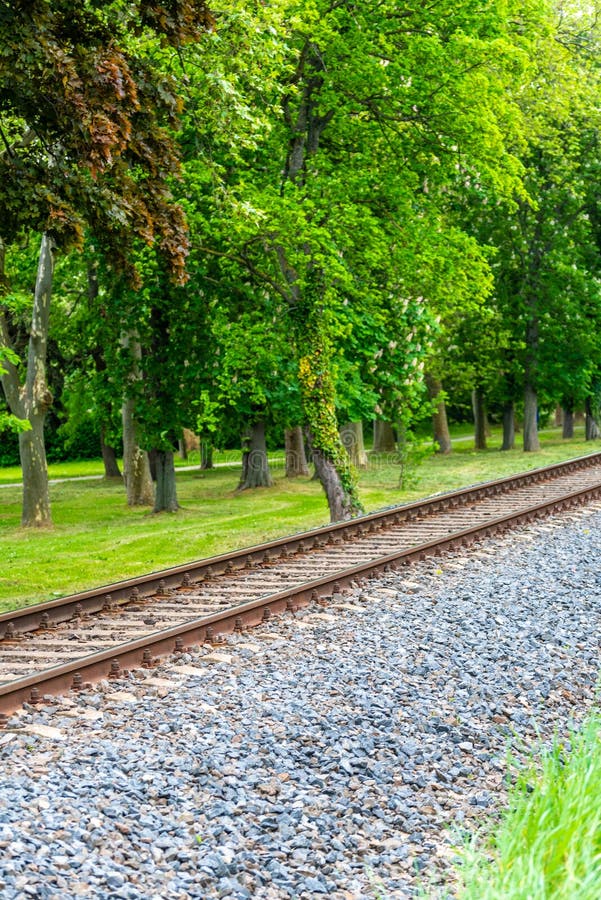 Railway Tracks. Railroad Track between Green Trees and Road Stock Image ...