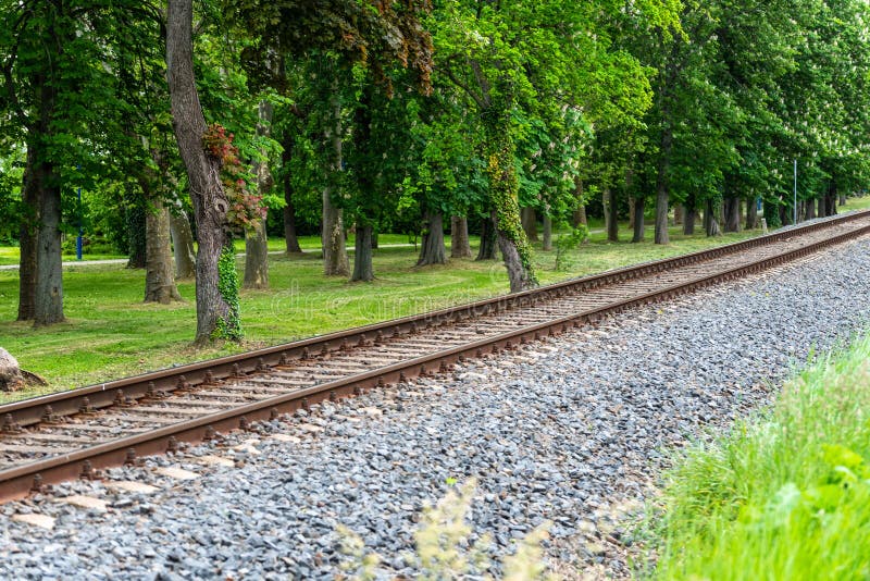 Railway Tracks. Railroad Track between Green Trees and Road Stock Image ...