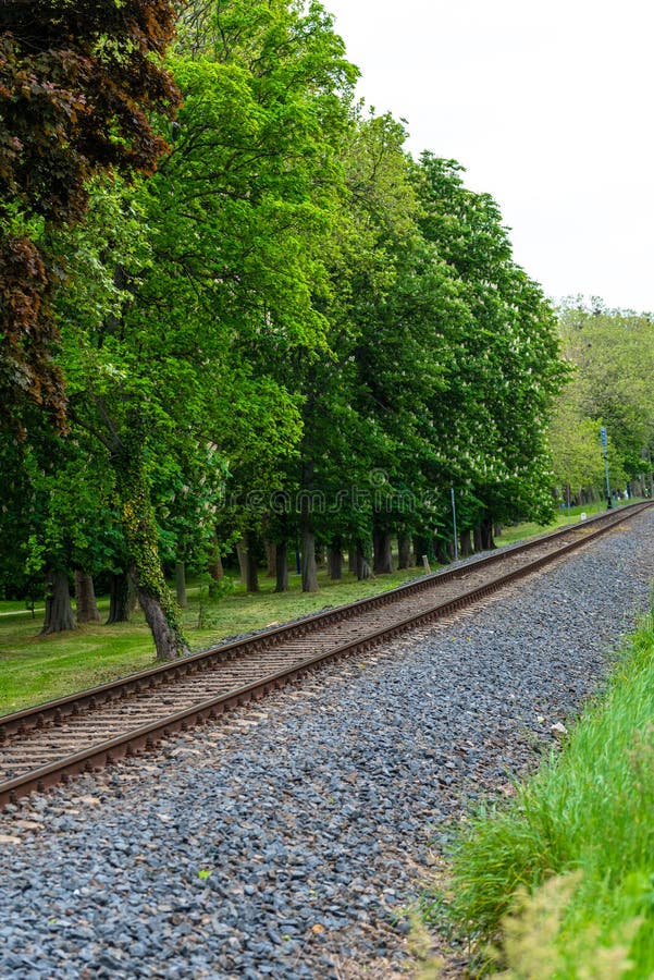 Railway Tracks. Railroad Track between Green Trees and Road Stock Photo ...