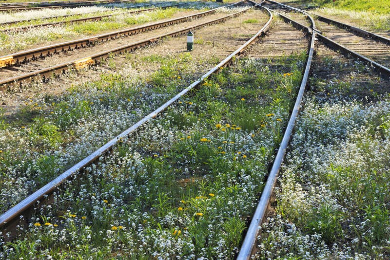 Railway Tracks in the Spring. Stock Image - Image of spring, flower ...