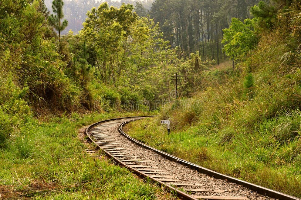 Railway Tracks in Sri Lanka Stock Image - Image of tree, road: 192622833