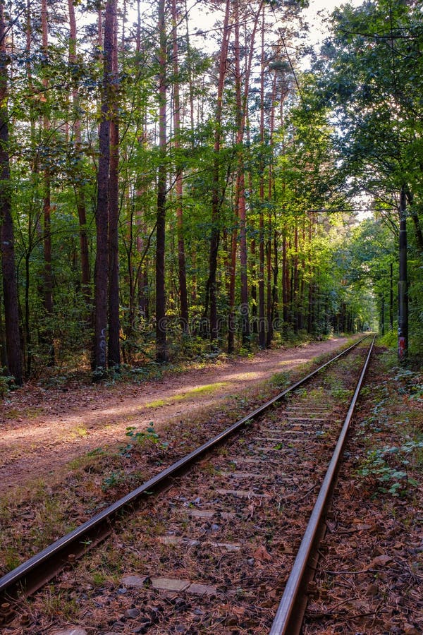 Railway Tracks View. Railway Rails and Embankment Surrounded by Forest ...