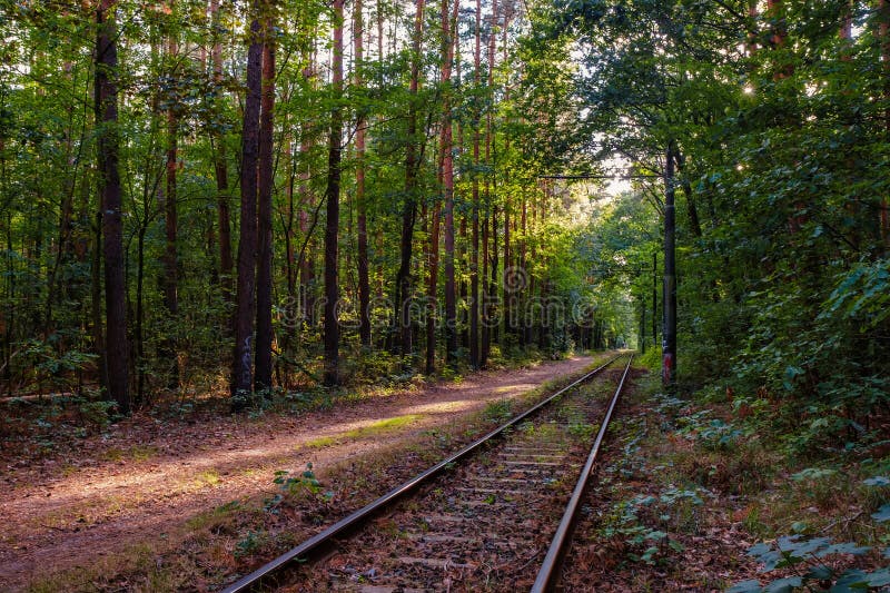 Railway Tracks View. Railway Rails and Embankment Surrounded by Forest ...