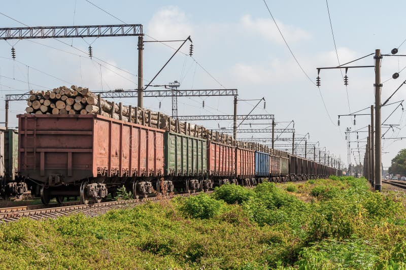Railway Tracks, Wagons Loaded with Logs on Rails Stock Image - Image of ...