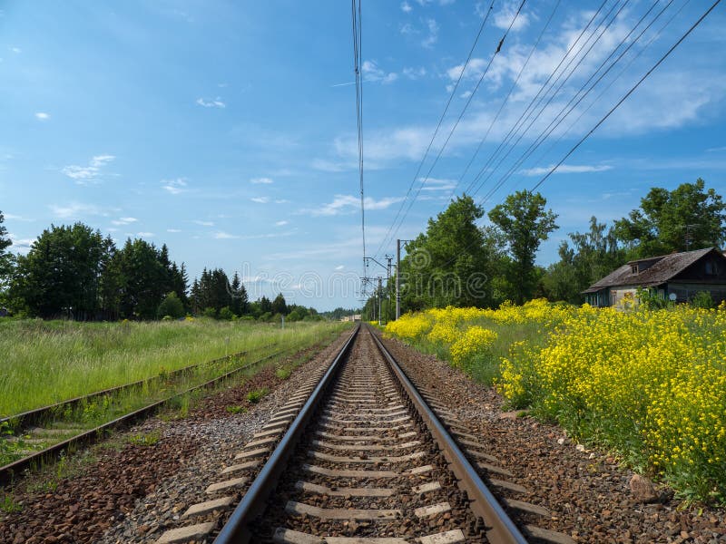 Railway Tracks among Yellow Fields, Country Railroad Stock Image ...
