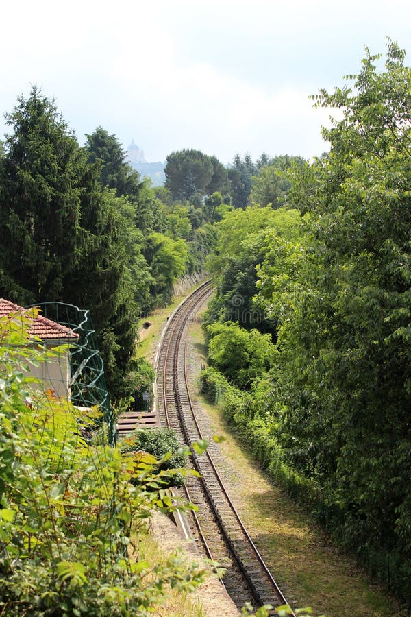 Railway Train in the Middle of Trees Stock Photo - Image of summer ...