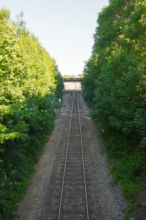 Railway, Train Tracks Going through a Forest Stock Image - Image of ...