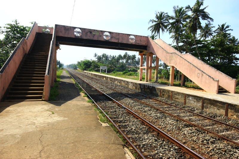 Railway stock image. Image of train, palms, transition - 46508189