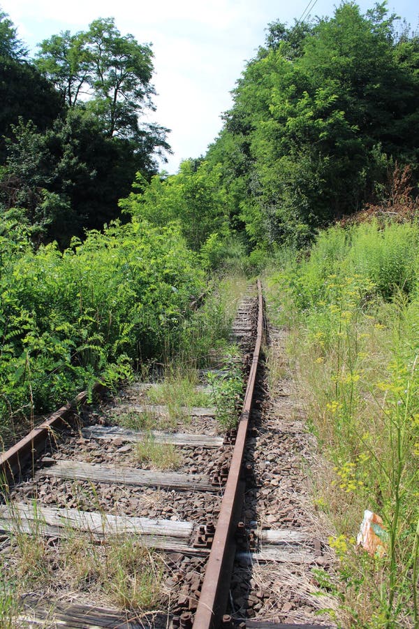 Railway between the Trees that Create a Tunnel of Green Leaves Stock ...