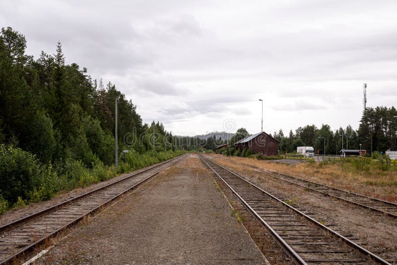 Railway with Trees on the Side Stock Image - Image of light, forest ...