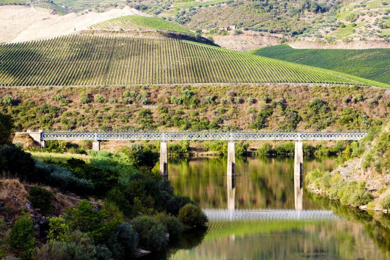 Railway Viaduct in Douro Valley Stock Photo - Image of europe ...