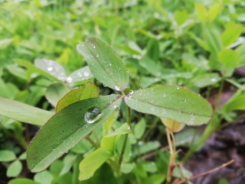 Raim Time pic stock image. Image of time, beautiful - 138161597