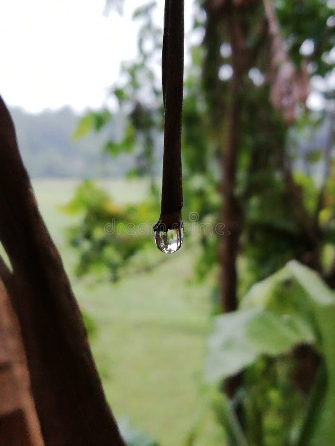 Rain stock photo. Image of rain, vibes, natural, mobile - 129018386