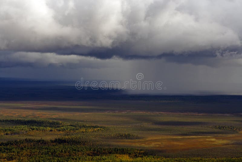 Rain above a taiga stock image. Image of rain, forest - 17729555