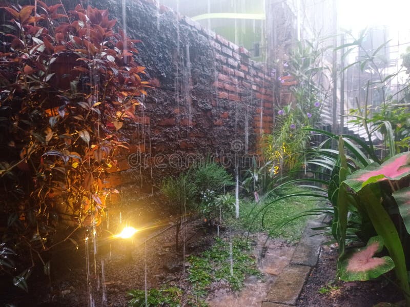 Rain in afternoon at home stock image. Image of home - 262925371