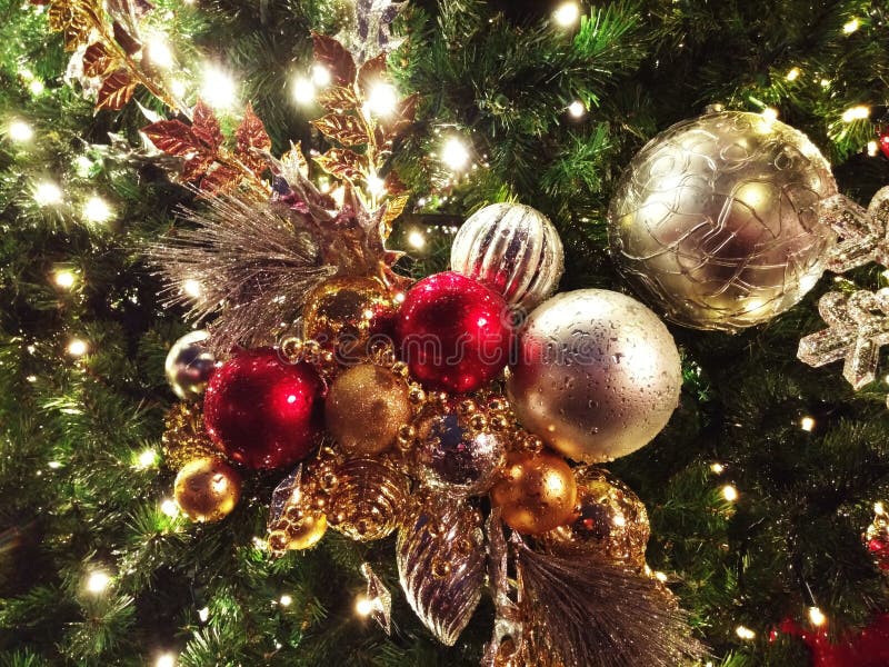 Rain Beaded Christmas Ornaments Outdoor Tree Stock Photos - Free ...