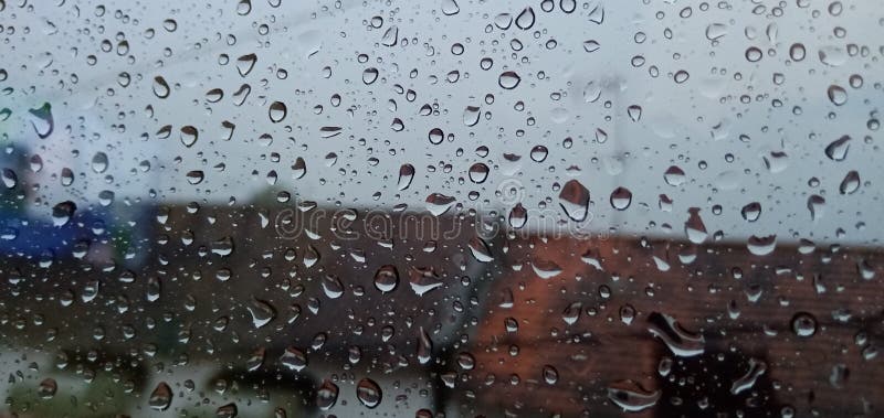 Rain beauty drop stock photo. Image of drop, snow, rain - 209545020