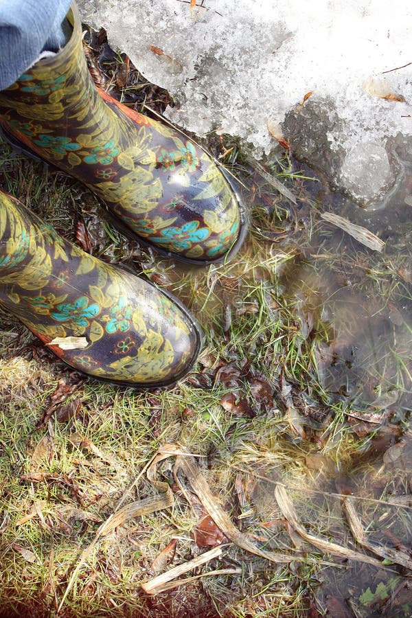 Rain Boots in Flooded Water in Spring Puddle Stock Photo - Image of ...