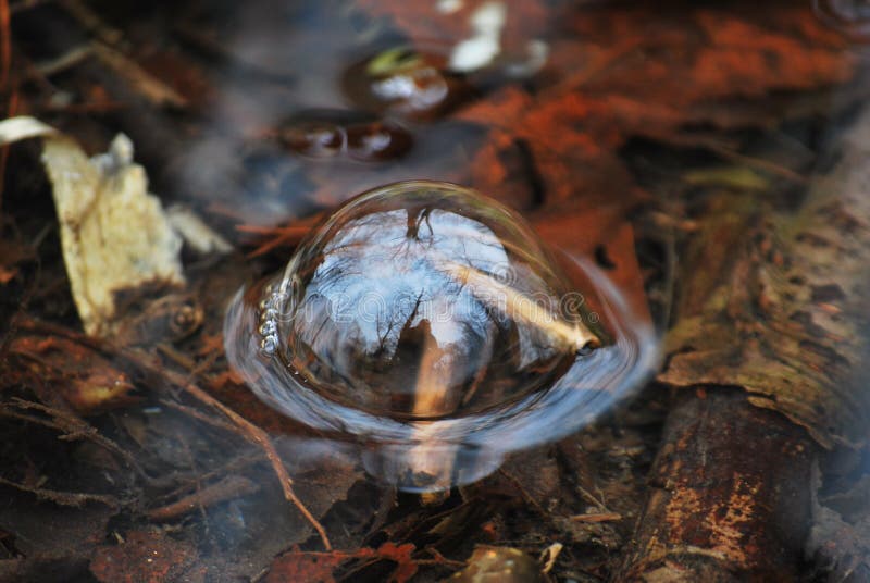 Rain Bubble in a Puddle on a Mat. Stock Image - Image of wiping ...