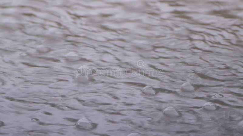 Rain Bubbles in a Puddle Close-up Appear and Disappear. Stock Video ...