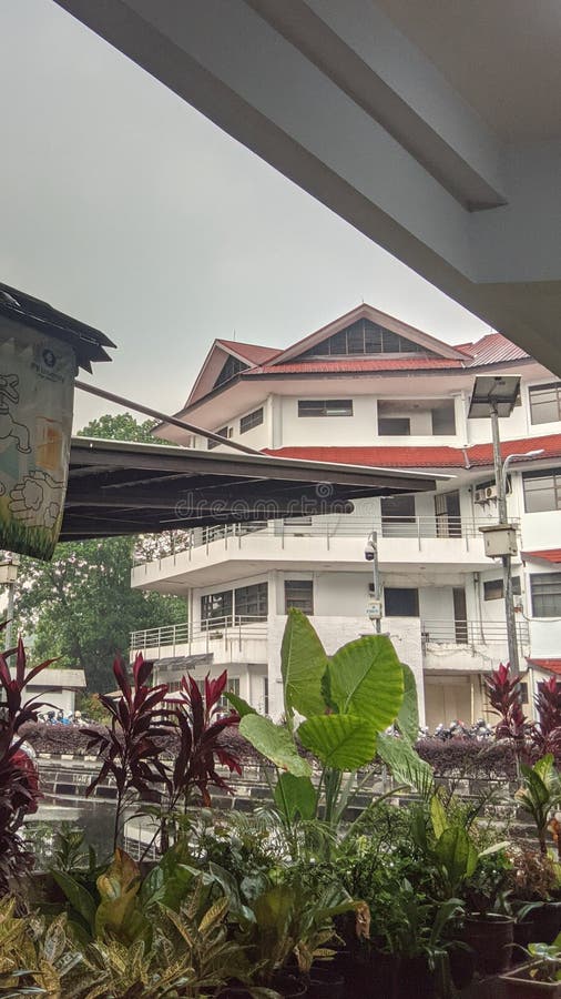 Rain and a Building Inside the Agricultural University Stock Photo ...