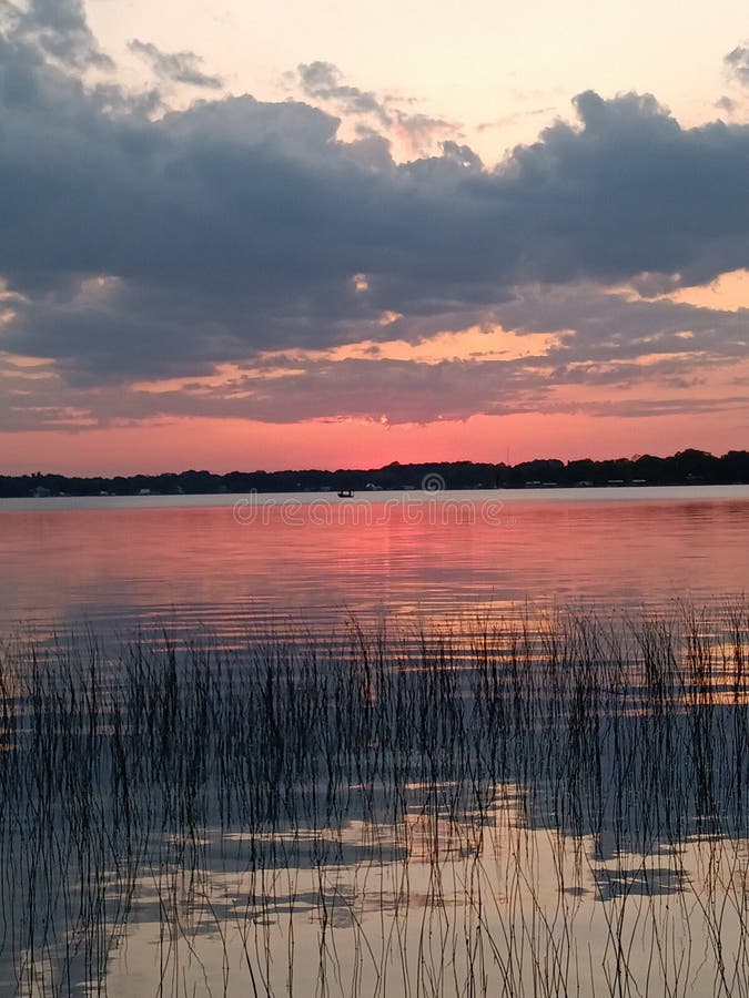 After the Rain Came and Pink Haze and Dark Skys Stock Image - Image of dark, rain: 287599945