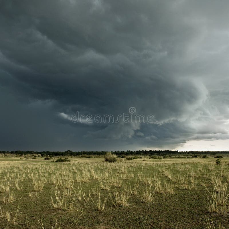 Rain Cloud Over Africa Landscape, Serengeti Stock Image - Image of ...