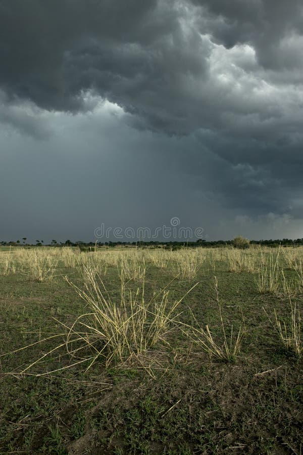Rain Cloud Over Africa Landscape, Serengeti Stock Image - Image of ...