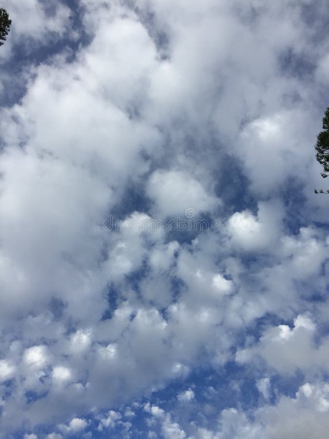 Vcfh Stock Photos - Free & Royalty-Free Stock Photos from Dreamstime