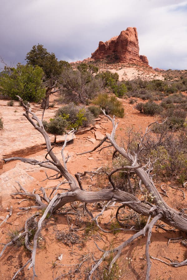 Rain Clouds Gather Over Rock Formations Utah Juniper Trees Stock Photo ...