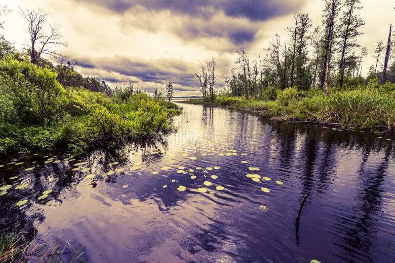 Rain Clouds Over the Forest Lake Stock Image - Image of reflection ...