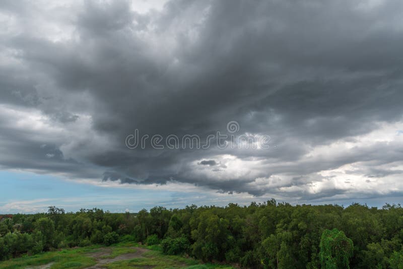 Rain Clouds Over the Forest before a Storm in Rainy Season. Stock Photo ...