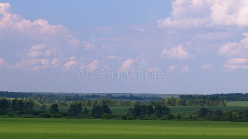 Rain Clouds on Sky Above Green Grass Field and Trees. Stock Video ...