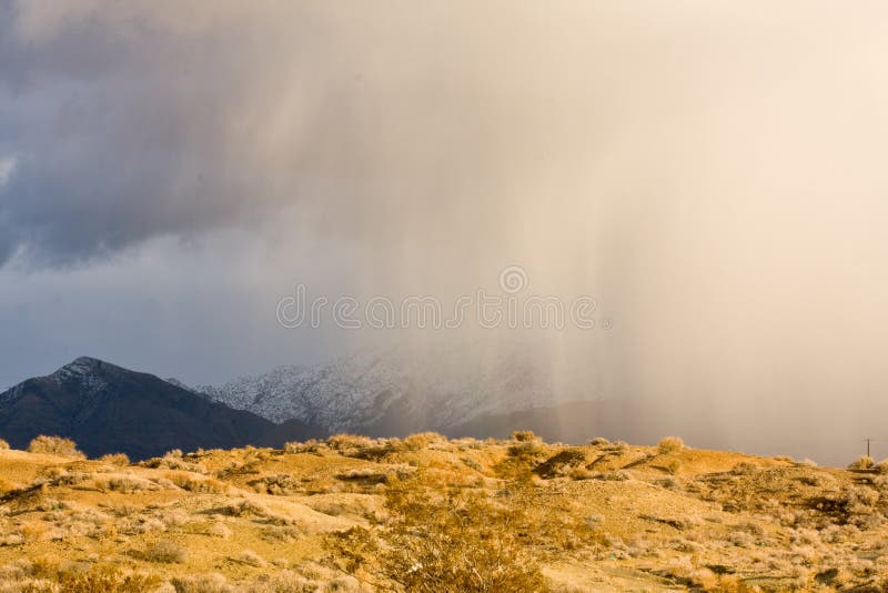 Rain coming stock photo. Image of green, storm, grass - 13005298