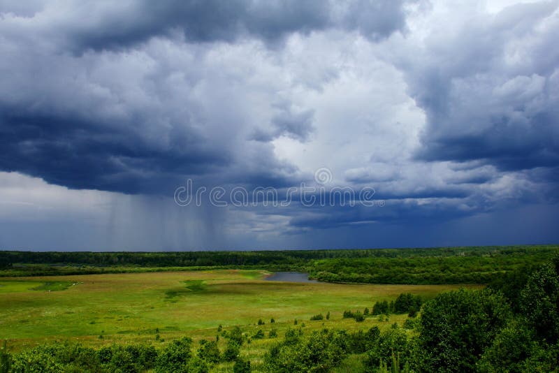 Rain above a taiga stock image. Image of rain, forest - 17729555