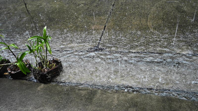 Rain on concrete stock video. Video of abstract, street - 196227281