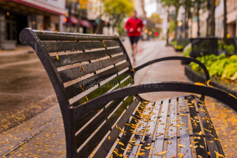 Rain Covered Bench on State Street Stock Photo - Image of bench ...