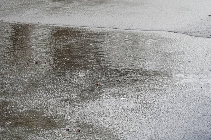 Rain Creates Rippling Reflections of Surrounding Trees on Smooth ...