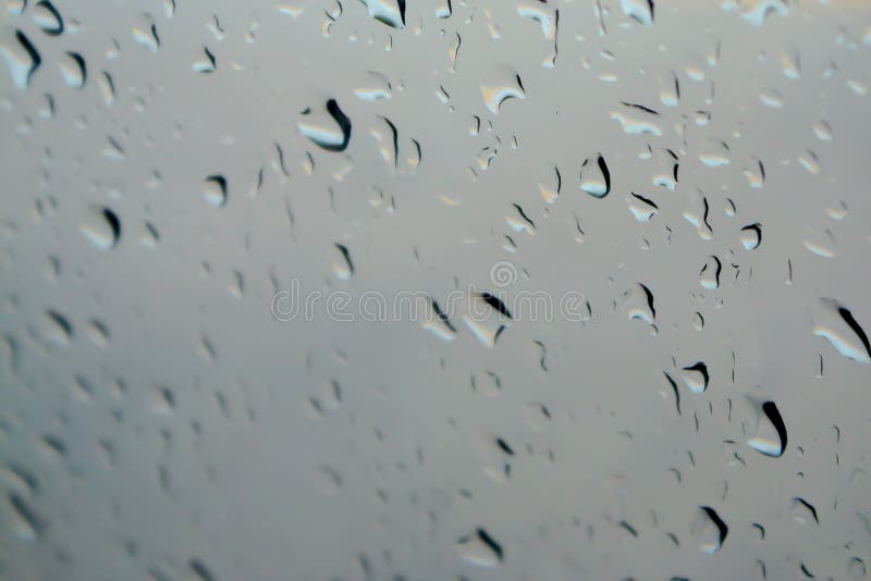 Nora Barcelona Wet Stock Photos - Free & Royalty-Free Stock Photos from ...