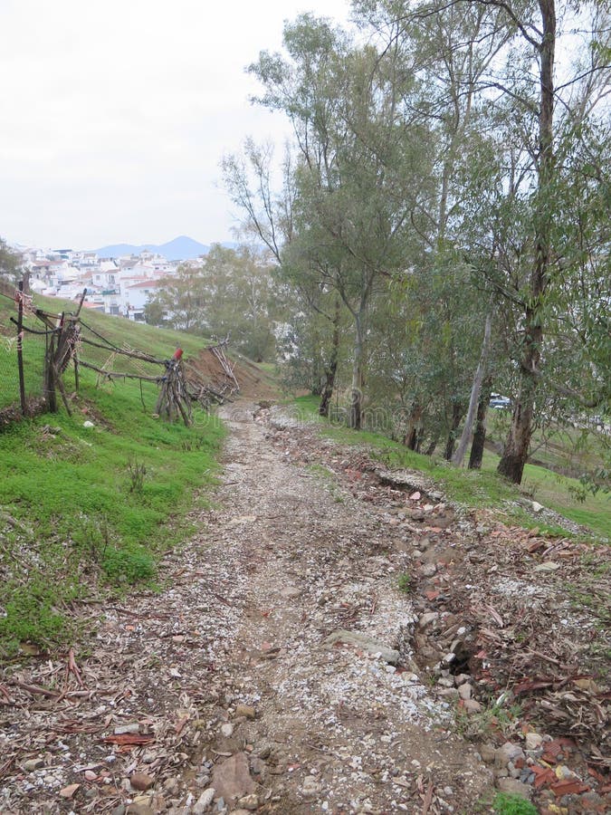 Rain-wet Ruts from Tractors in a Grain Field Stock Image - Image of ...