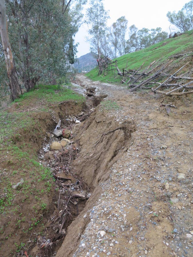 Rain-wet Ruts from Tractors in a Grain Field Stock Image - Image of ...