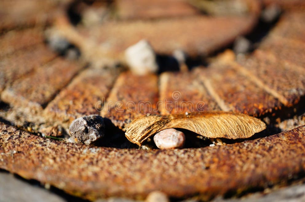 Rain drain stock image. Image of rain, drain, close, metal - 45297765