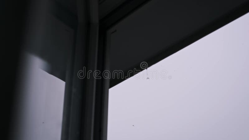 Rain Dripping from Window Frame Stock Footage - Video of texture ...