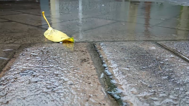 Rain Drizzles at Day, Drops Fall and Splash, Pavement is Filled with ...