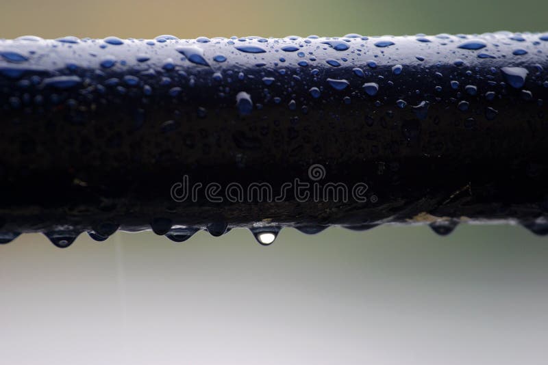 Rain drop stock photo. Image of water, raining, rainy - 1305798