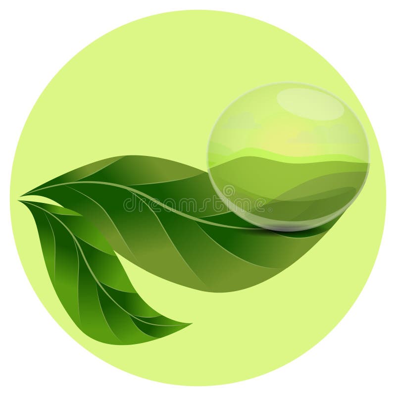 Rain Drop of Clear Water on a Leaf Stock Vector - Illustration of plant ...